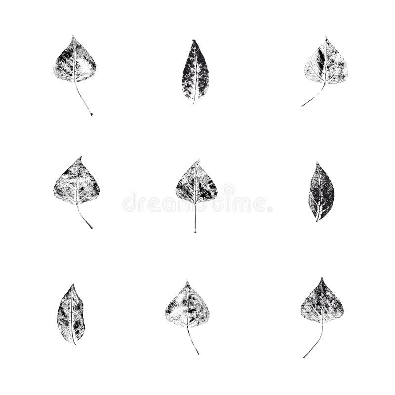 Copie originale de nature illustration stock. Illustration du flore ...