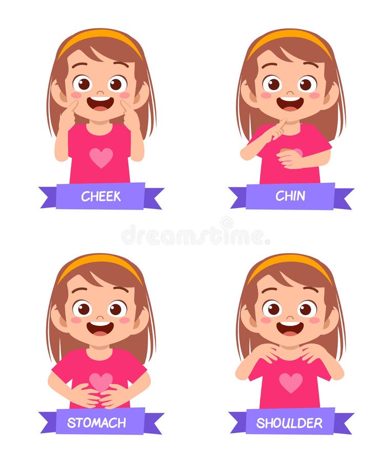 Copil Fericit Drăguț Studiu Corp Parte Anatomie Stock Vector ...