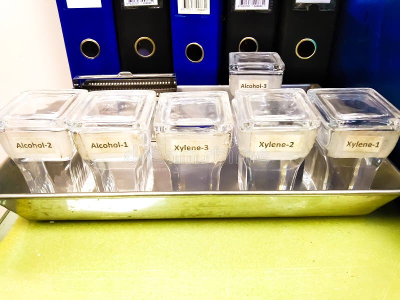 3+ Histology laboratory Free Stock Photos - StockFreeImages