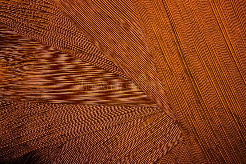 Copper Colored Wall Texture Background with Textures of Different ...