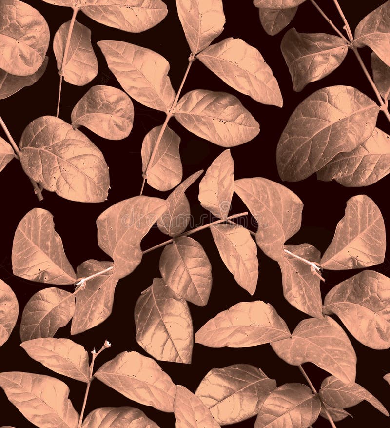 Copper Colored Dark Black Background Colored Leaves Seamless Pattern ...