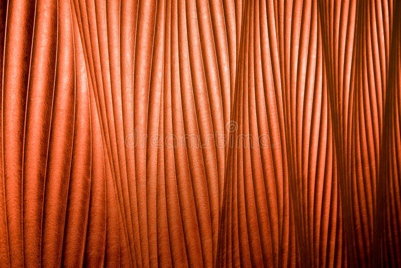 Copper Colored Leather Texture or Background Stock Image - Image of ...