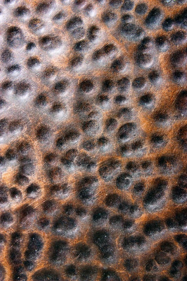 Copper Dot Bumps stock photo. Image of copper, bumps - 12829448