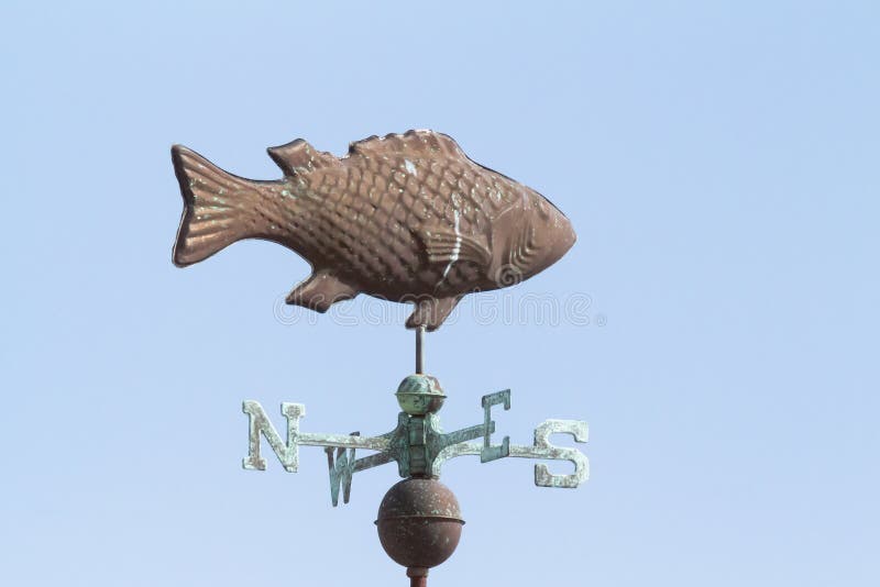 South Pointing Fish Stock Photos - Free & Royalty-Free Stock Photos ...