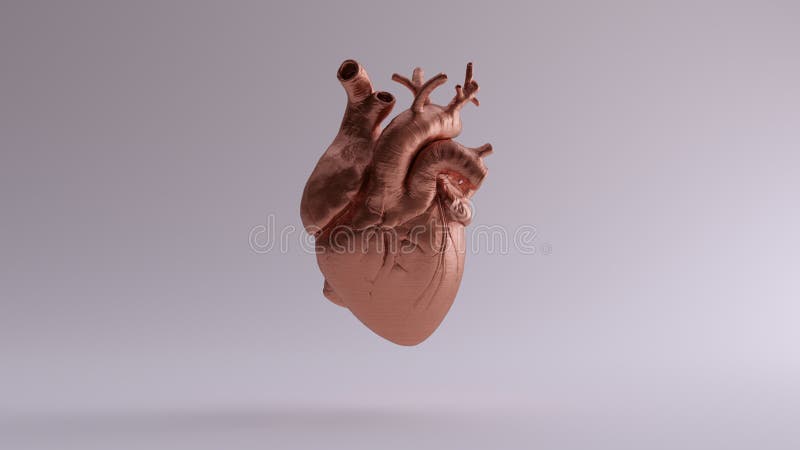 Copper Heart and Brain Concept Illustration Stock Vector - Illustration ...