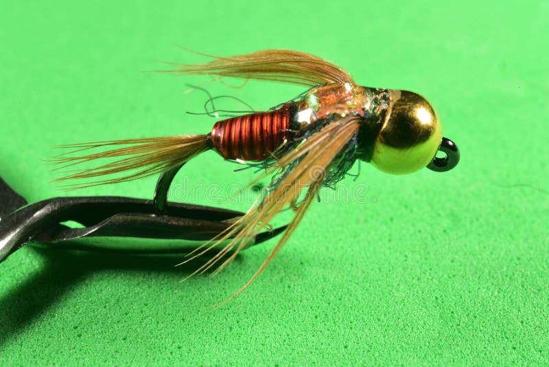 Copper Trout stock image. Image of copper, wood, cedar - 68507237