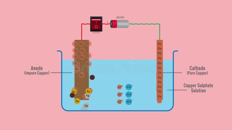 Copper is Purified by Electrolysis, Transferring Pure Copper from an ...