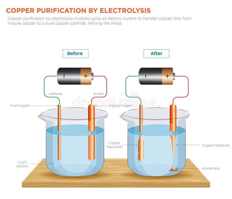 Copper Purification by Electrolysis Refining Copper through Electric ...