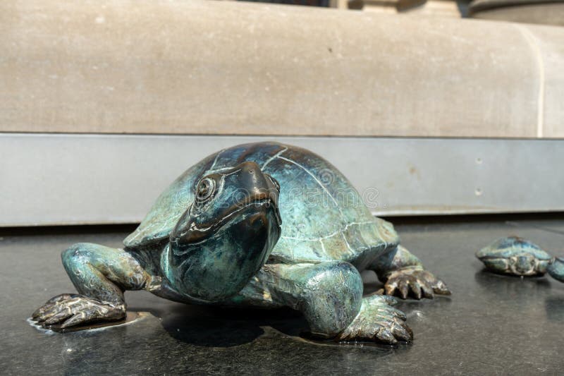Copper Statue of a Turtle on a Fountain Ledge Stock Photo - Image of ...