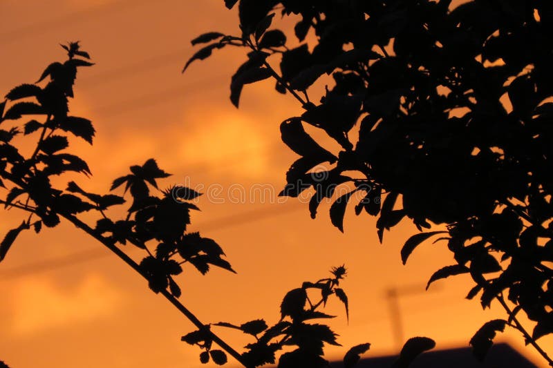 The Copper Sunset stock image. Image of clouds, sunset - 113551093