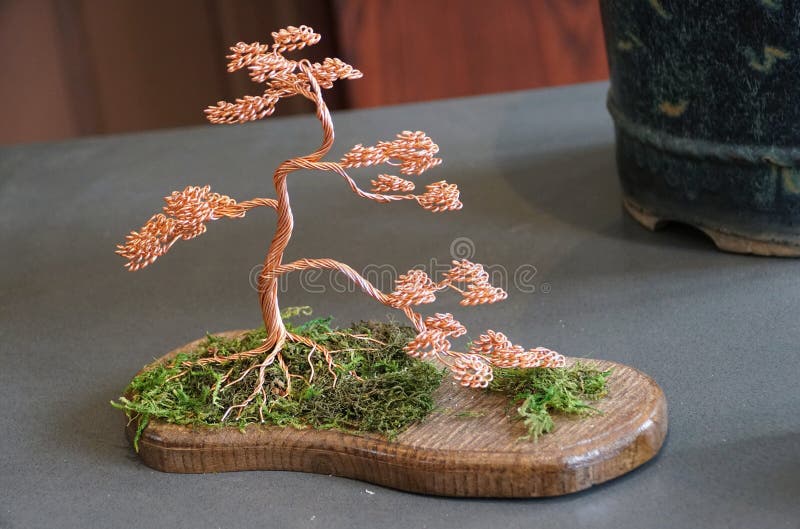 Moss-covered Roof Tiles Show Nature S Growth and Aging Process Stock ...