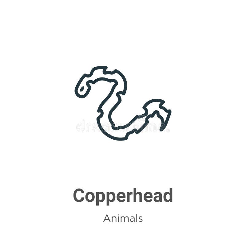 Copperhead Outline Vector Icon. Thin Line Black Copperhead Icon, Flat ...