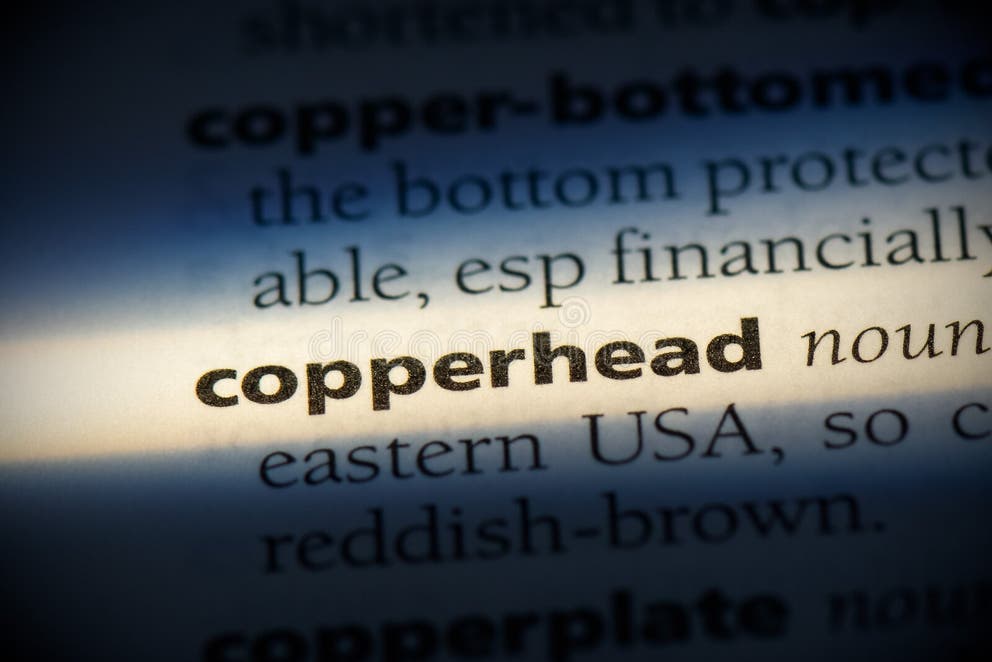 Copperhead stock image. Image of paper, reference, definition - 161393119