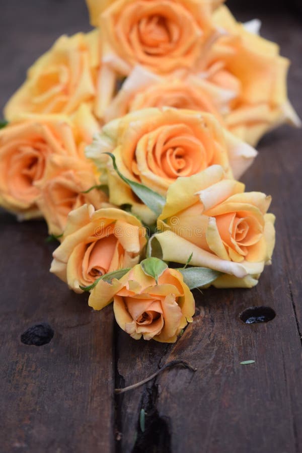 Coppery Yellow Roses on a Rustic Wood Background Stock Image - Image of ...