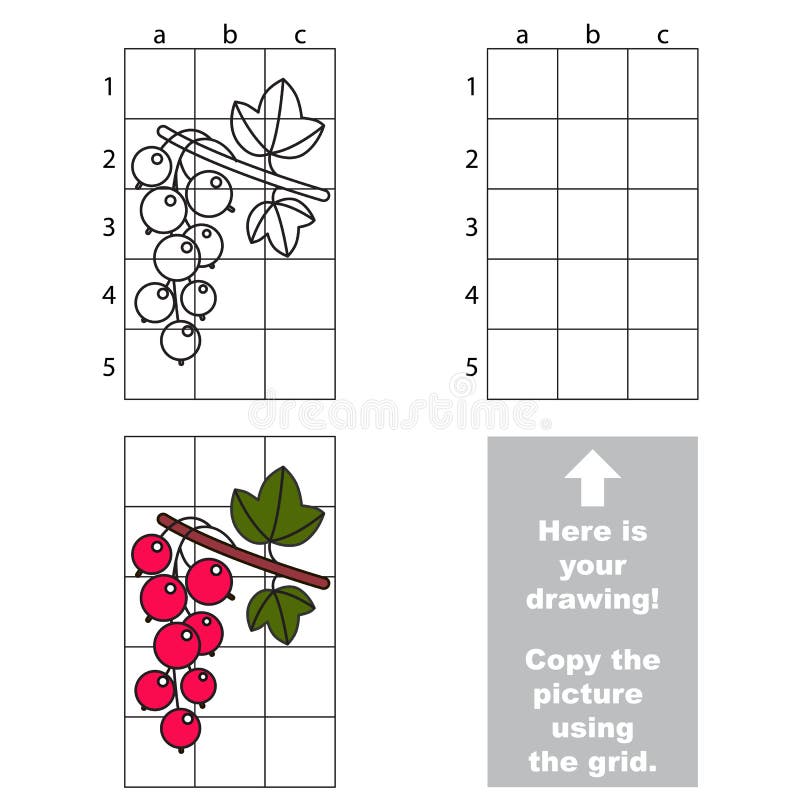 Red Currant. Drawing Worksheet. Stock Vector - Illustration of sheet ...
