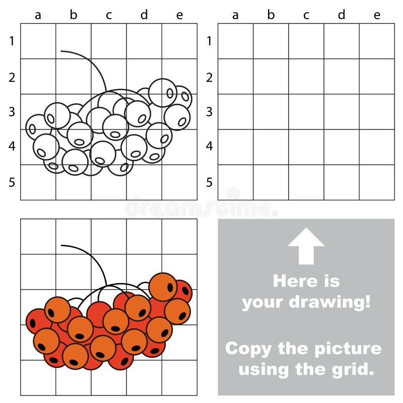 Copy the Image Using Grid. Rowan Stock Vector - Illustration of child ...