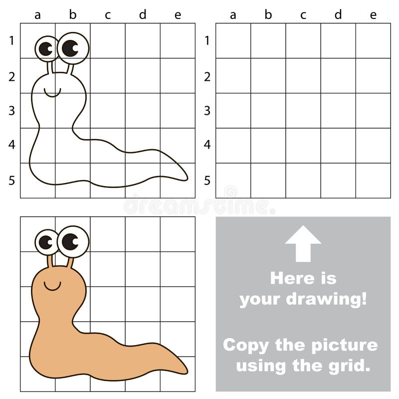 Copy the Image Using Grid. Spider. Stock Vector - Illustration of ...