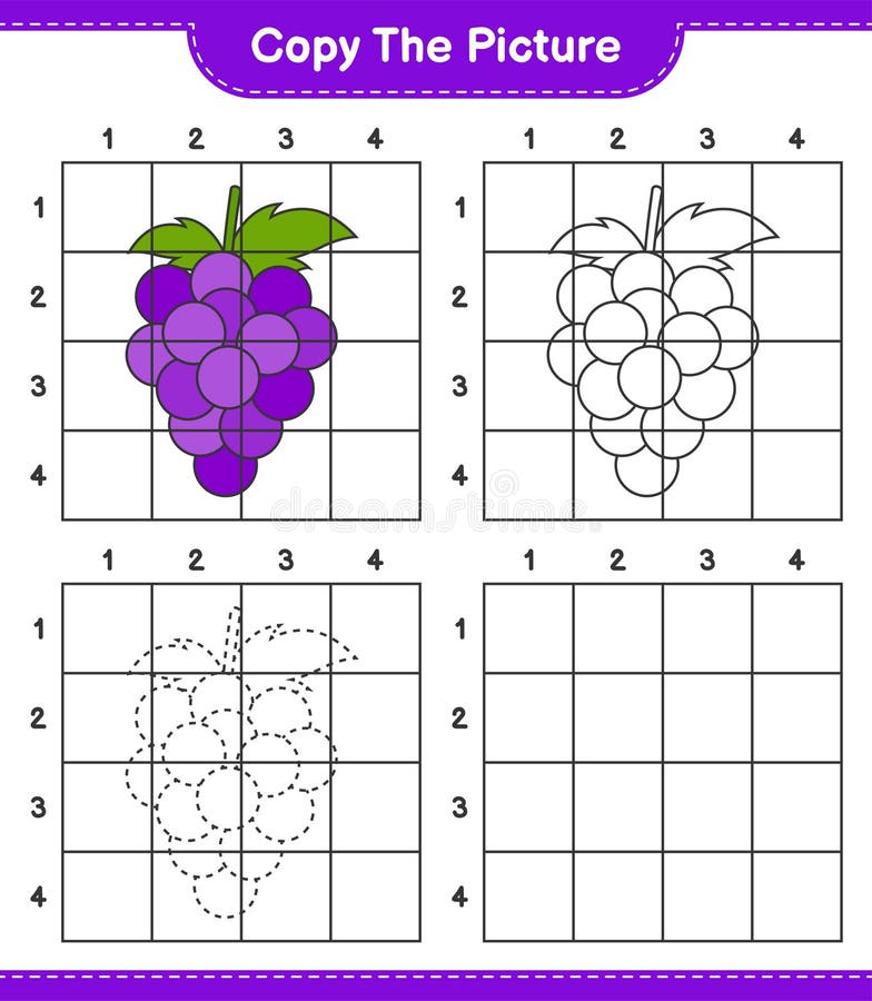 Copy the Picture, Copy the Picture of Grape Using Grid Lines ...