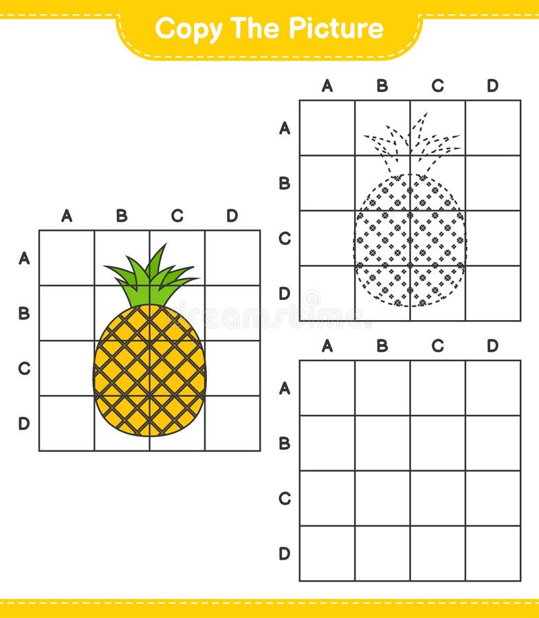 Copy the Picture, Copy the Picture of Pineapple Using Grid Lines ...