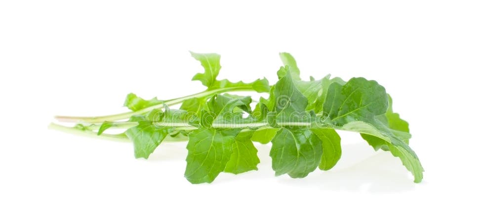 The Copy of Rugula Green stock image. Image of condiment - 44924923