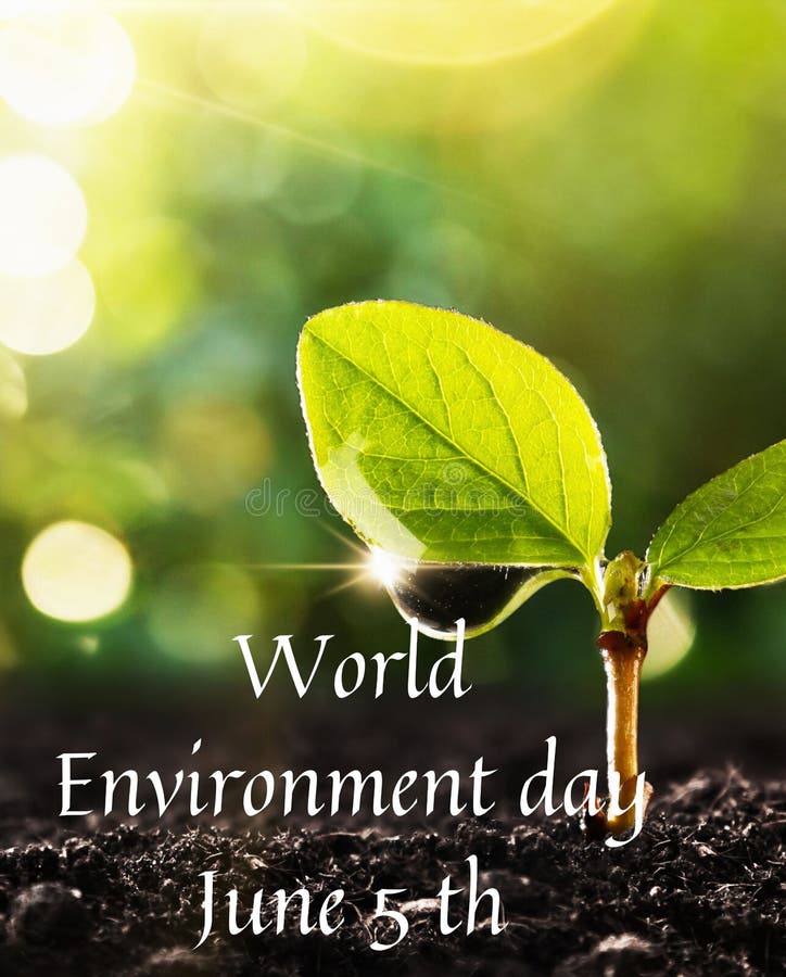 Save Nature - World Environment Day Celebrated on June 5 Stock Photo ...