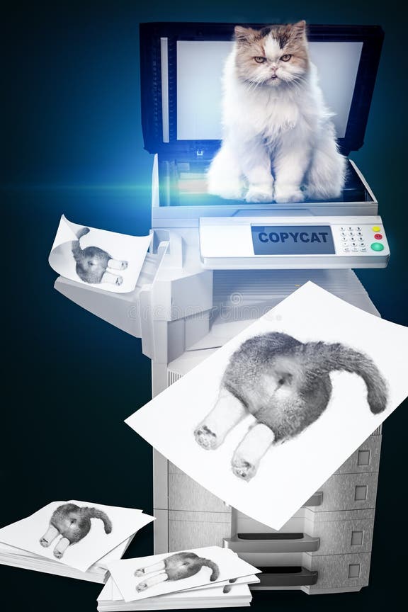 Copycat stock photo. Image of cute, original, copies - 142147898