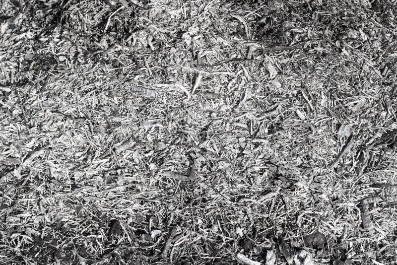 Copyspace Background Texture from Ash Gray Black Ash from Branches ...