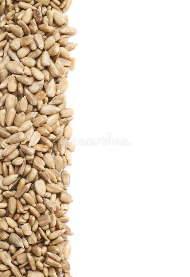 Copyspace Sunflower Seeds Composition Stock Image - Image of studio ...