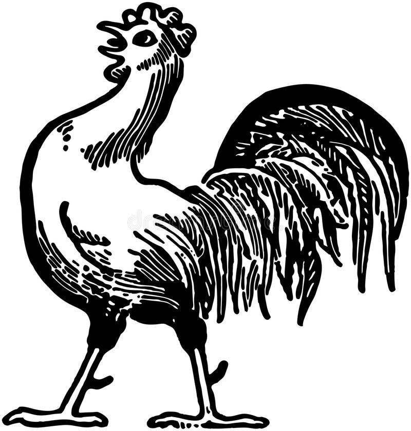 Coq fier illustration de vecteur. Illustration du fier - 63468175