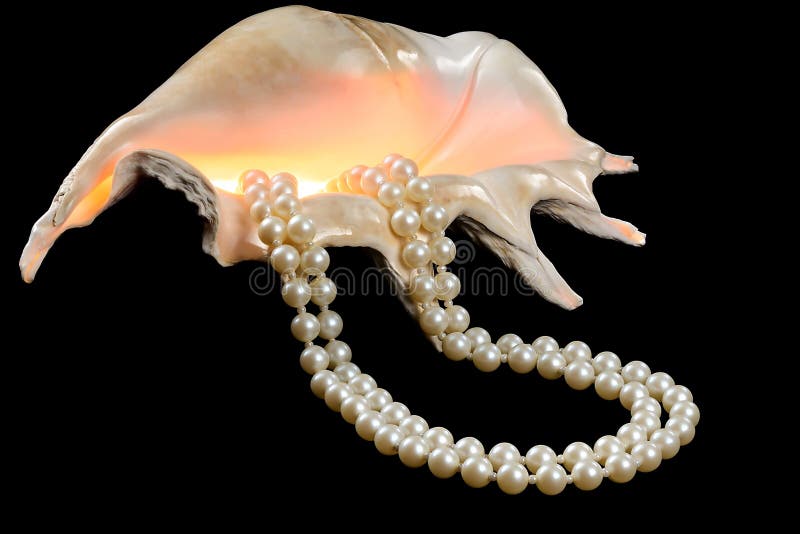 Coquillage Avec Un Collier De Perle Photo stock - Image du foncé ...