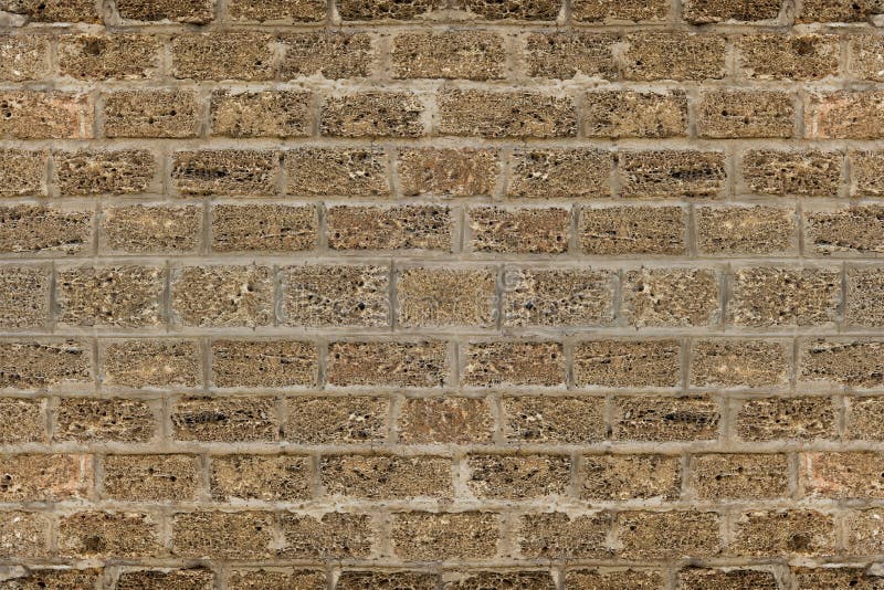 Abstract Background with Texture of Shell Wall Stock Photo - Image of ...