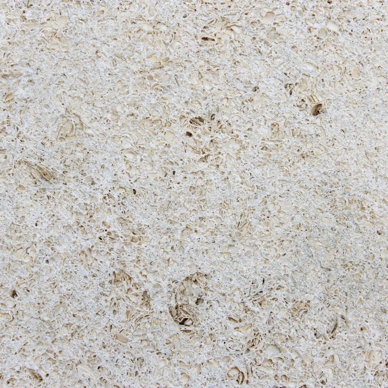 Coquina texture stock photo. Image of concrete, background - 27634250