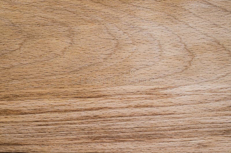 Cor De Madeira Natural Do Marrom Da Textura Foto de Stock - Imagem de ...