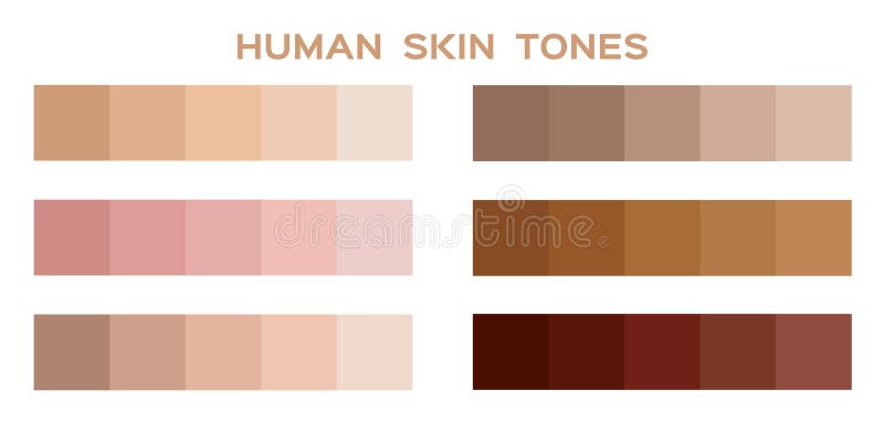 Escala De Cores Do Tom De Pele Paleta Infographic Da Cor Humana Da ...