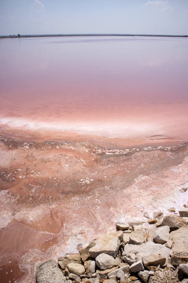 A cor do sal imagem de stock. Imagem de fundo, salada - 95618933