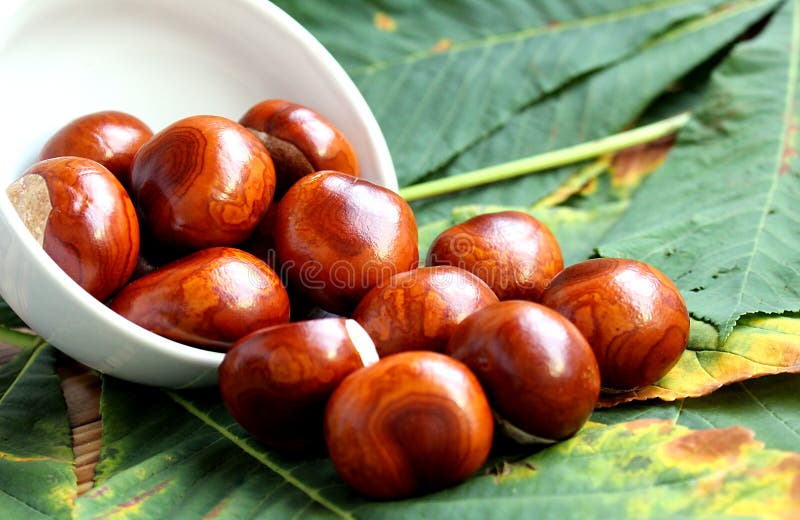 Cor marrom da castanha foto de stock. Imagem de doce - 128471322