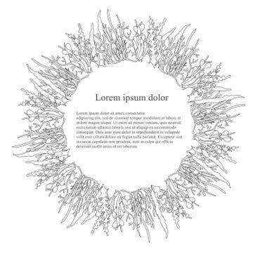 Coral Round Frame Stock Illustrations – 1,285 Coral Round Frame Stock ...