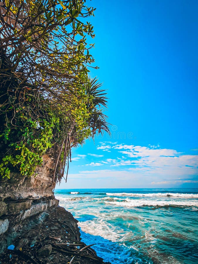 Coral Cliffs on the Edge of the Beach that are Continuously Hit by ...