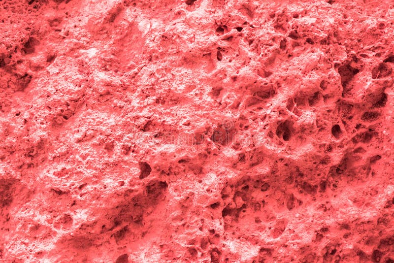 Coral color texture stock image. Image of background - 145348911