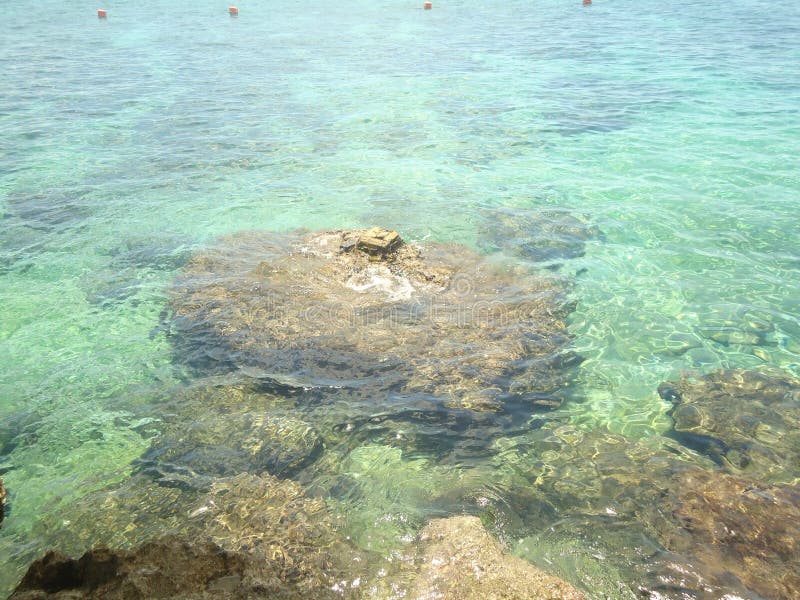 Roca y coral del mar imagen de archivo. Imagen de florida - 35360575