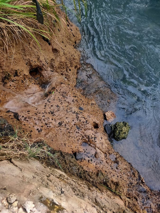 Coral eroded by water stock photo. Image of soil, look - 307658084