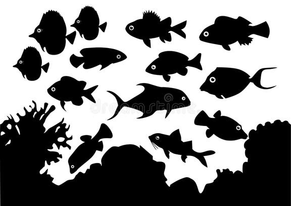 Coral Fish stock vector. Illustration of urchin, biodiversity - 20184077