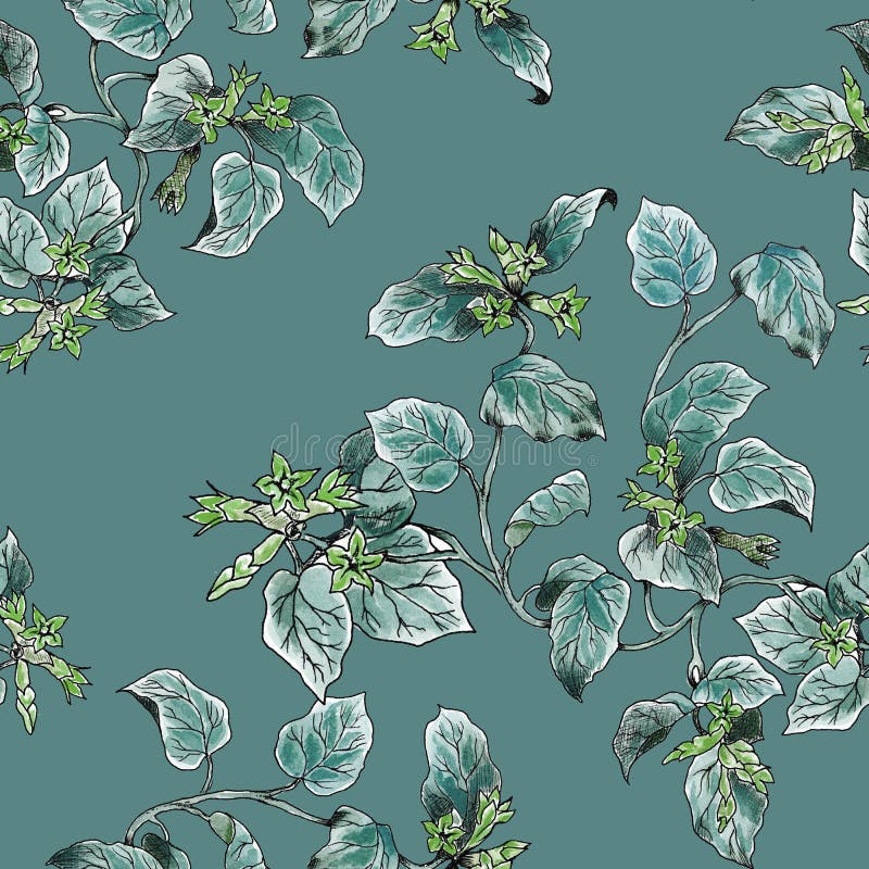 Coral fuchsia stock illustration. Illustration of tree - 214579875