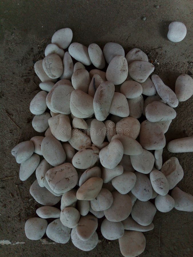 Coral stock image. Image of simple, cement, sand, item - 131471969