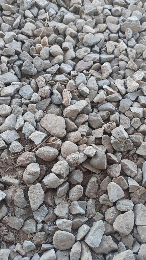 Coral on the ground stock image. Image of wall, geology - 264723141