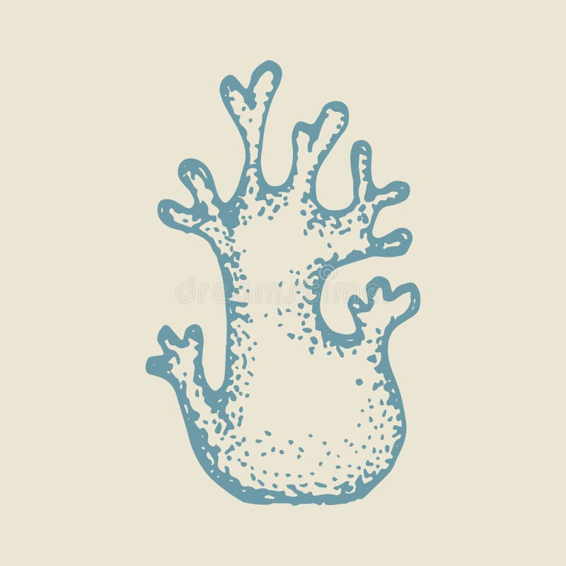 Coral Hand Drawing Vector Sketch. Isolated Illustration Stock Vector ...