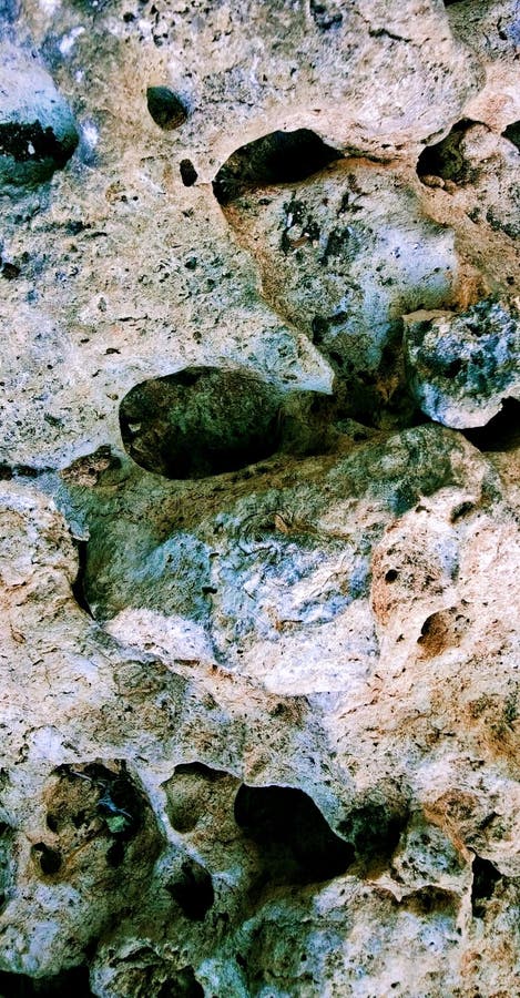 The Coral Has a Rough Texture Stock Photo - Image of soil, background ...