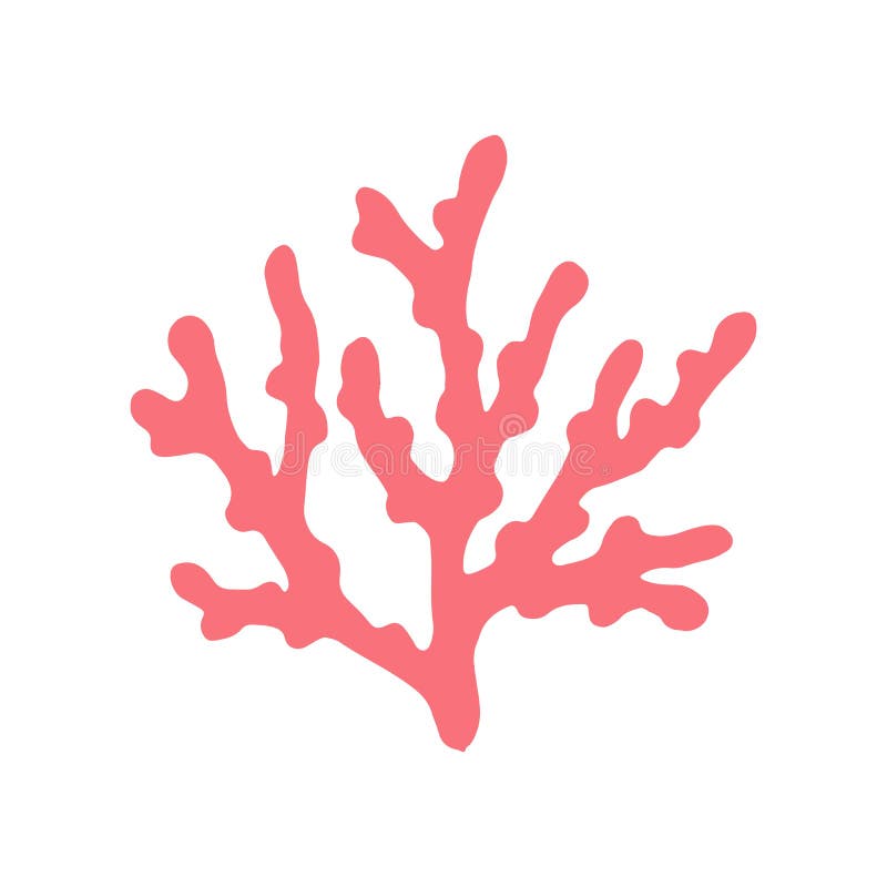 Coral Drawing. Marine Animal Isolated Object Stock Vector ...