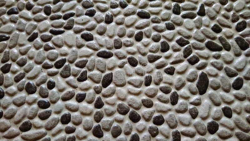 Coral Motif Floor Tiles at Home Stock Image - Image of motif, home ...