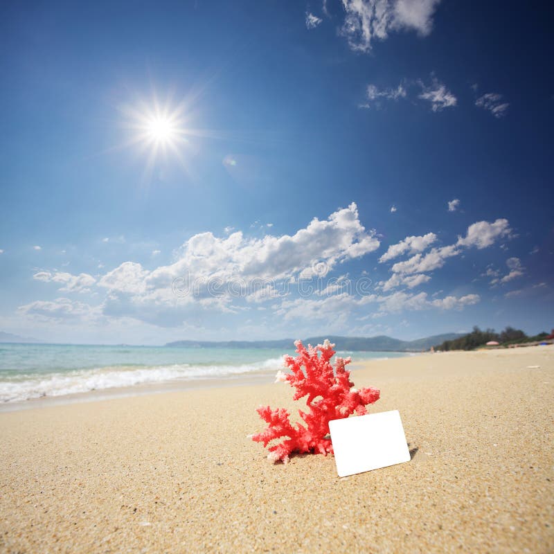 Beauty Namecard Stock Photos - Free & Royalty-Free Stock Photos from ...